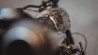 Warhawk-Inspired Kymco KTR 150 Street Scrambler – BikeBound