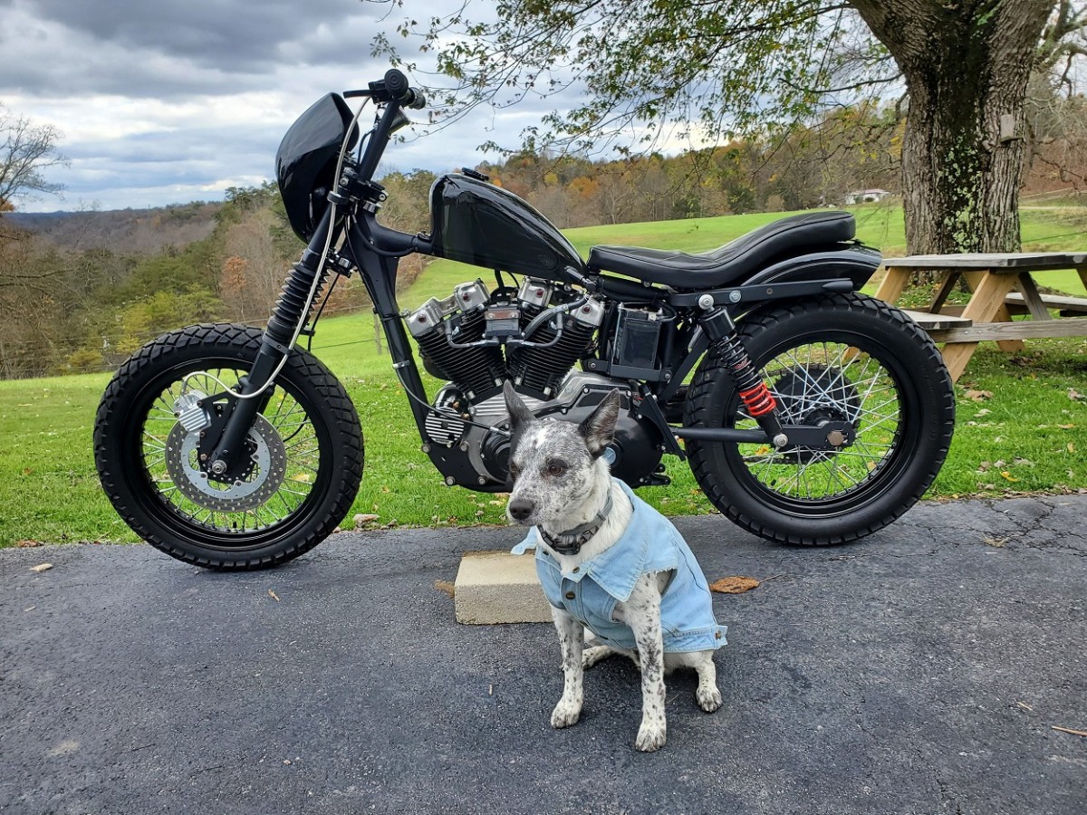 Meet “Karen” — ’77 Ironhead by RoastWorthy Cycles – BikeBound