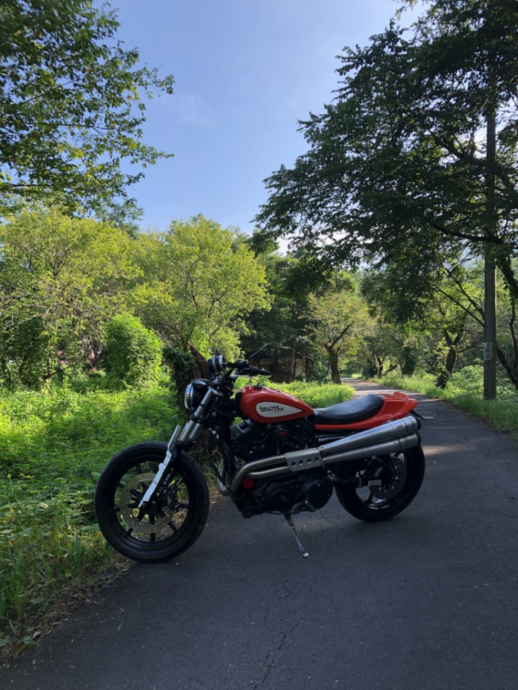 “Helter Skelter” Street Tracker – BikeBound