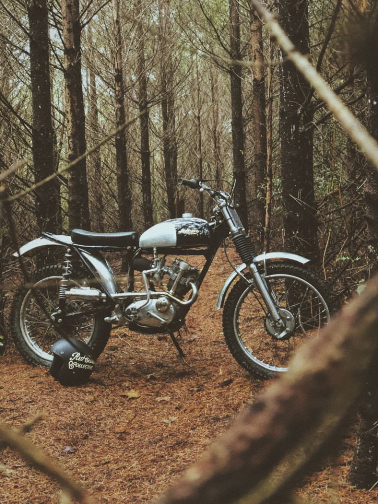 Catamount Cub: 1965 Triumph Tiger Cub – BikeBound
