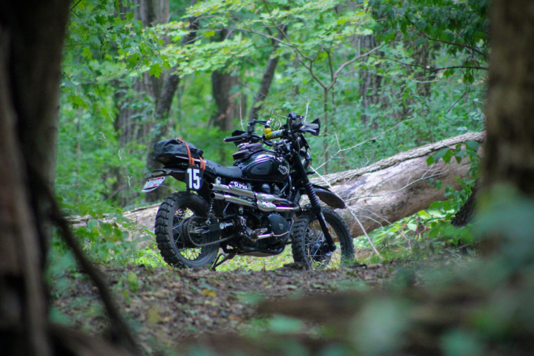 Flying Trumpet: Triumph Scrambler Enduro Racer! – BikeBound