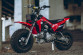Modern FatCat: Honda CRF110 Big Wheel – BikeBound