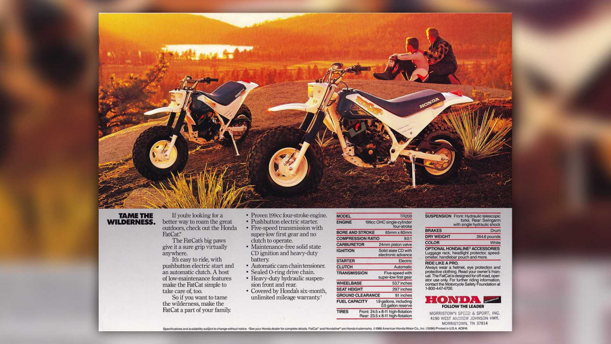 Modern FatCat: Honda CRF110 Big Wheel – BikeBound