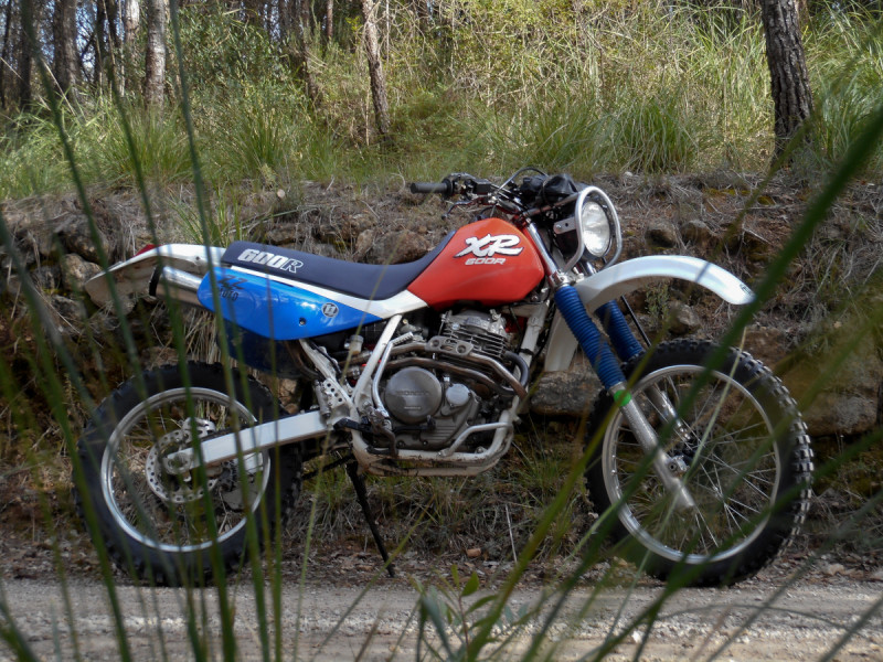 Vintage Review & Specs: Honda XR600R: “Big-Bore Legend” – BikeBound