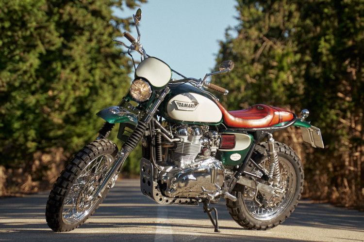 Warhorse: Triumph Scrambler 900 “Bucéfalo” – BikeBound