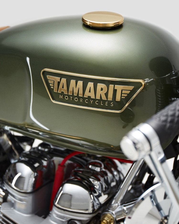 Lean, Mean, Green: “Dr. Banner” Triumph Thruxton 900 – BikeBound
