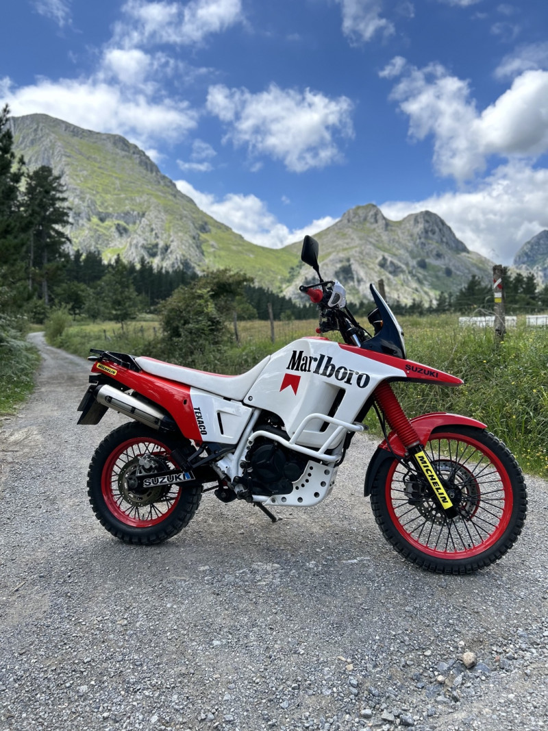 Licks Cycles: Suzuki DR Massive Rahier Tribute – BikeBound