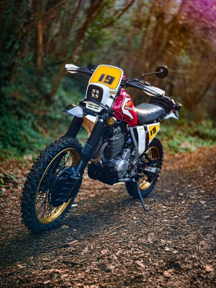 Enduro Dominator: Honda NX650 “EDNA” – BikeBound