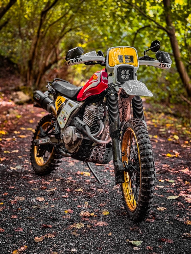 Enduro Dominator: Honda NX650 “EDNA” – BikeBound