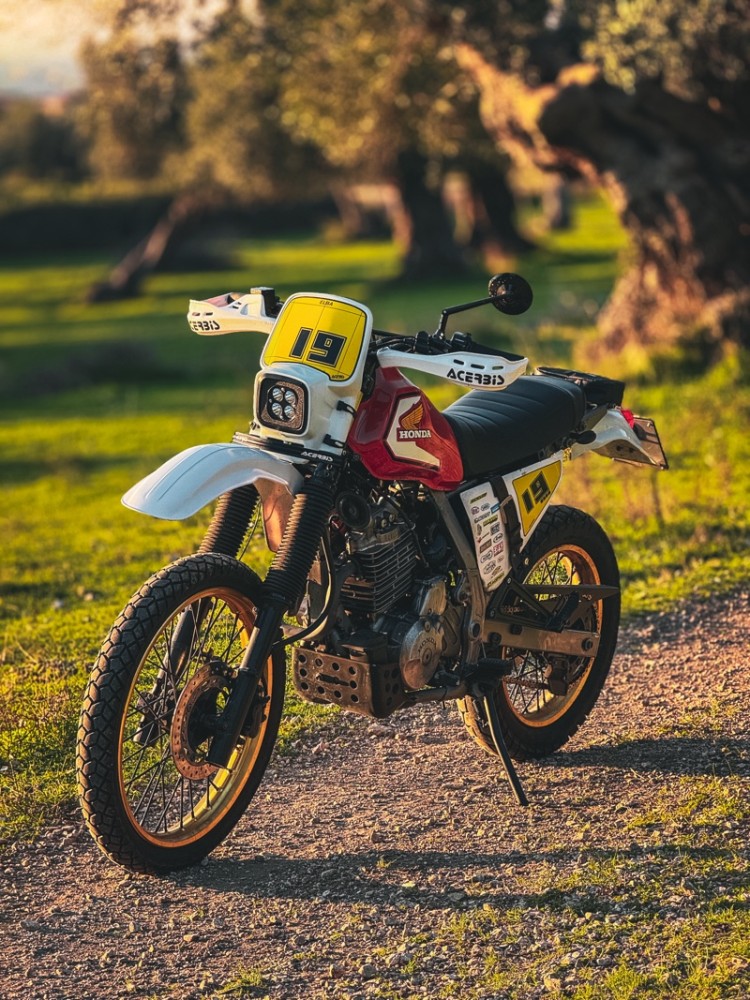 Enduro Dominator: Honda NX650 “EDNA” – BikeBound