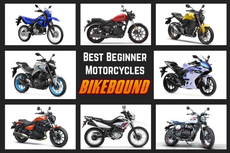 BikeBound Guide: Best Beginner Motorcycles of 2026 – BikeBound