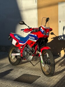 Xuxu’s Team Sandraiders: Honda NX650 Dominator Rally Bikes – BikeBound